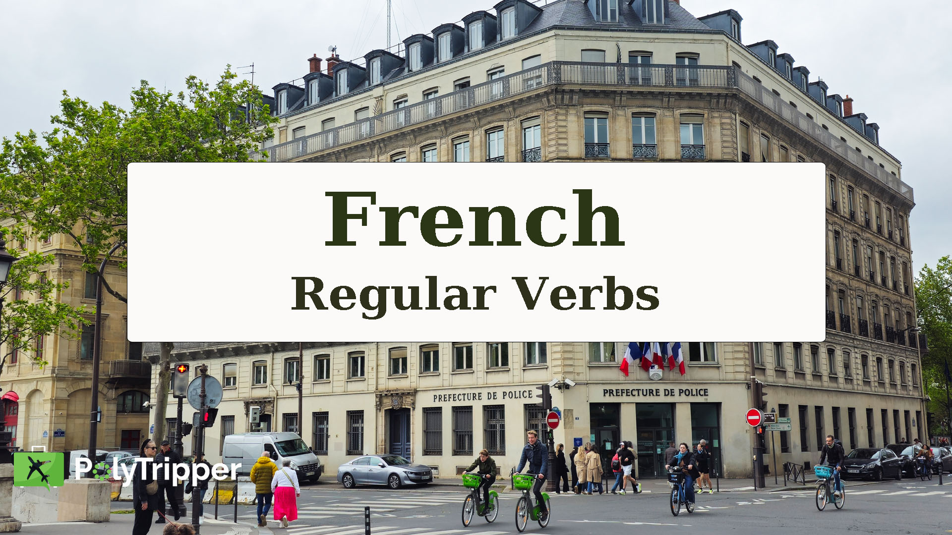 PolyTripper - French Regular Verbs